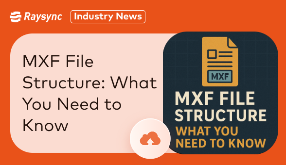 MXF File Structure: What You Need to Know